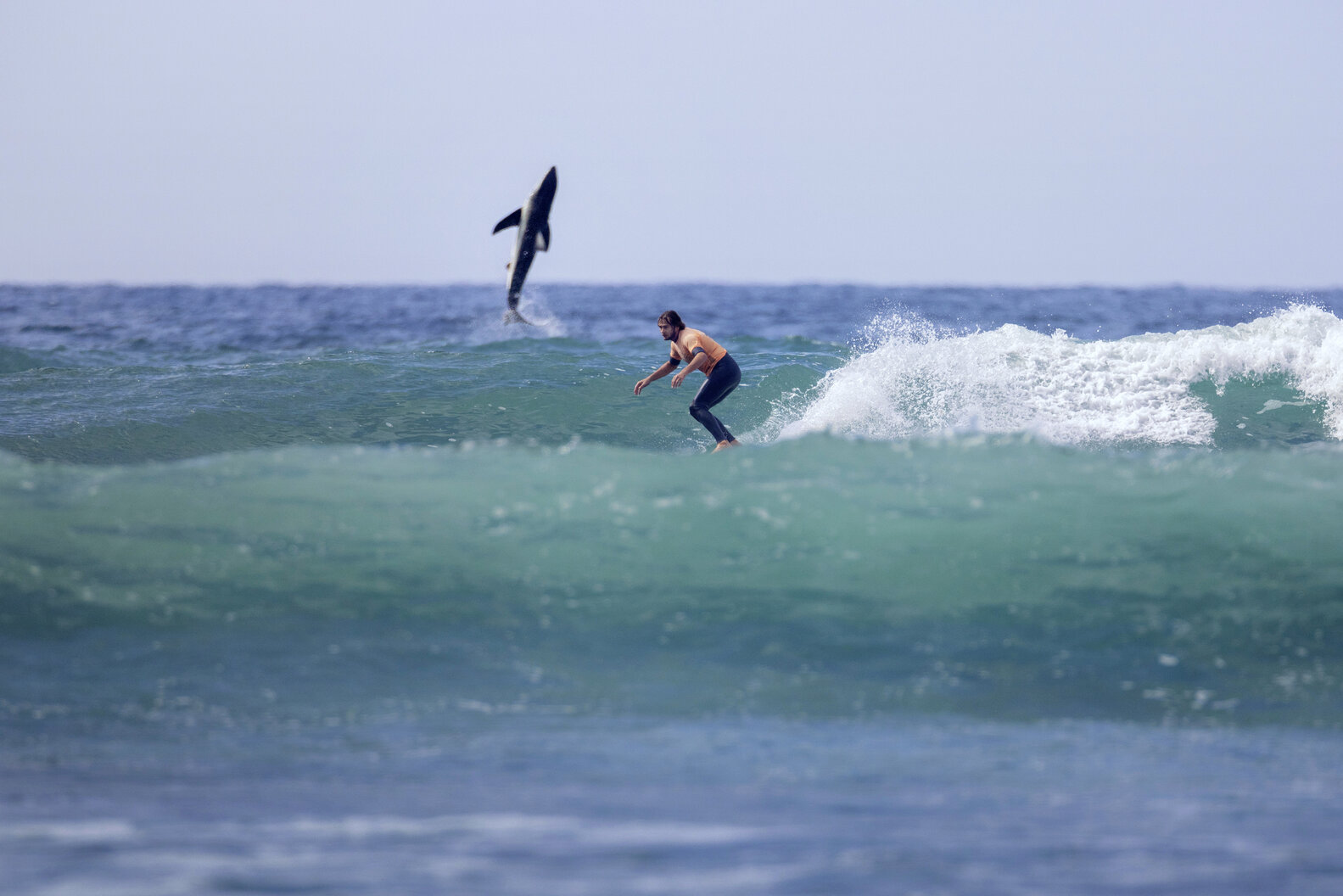 Surfer Focused On Winning Competition Has No Idea Who’s Right Behind ...