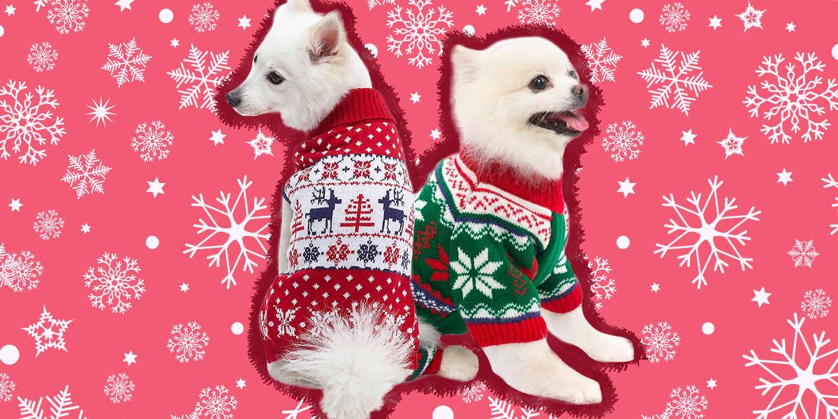 Dog Christmas Sweater: 13 Options That Will Make Your Pup Even Cuddlier ...