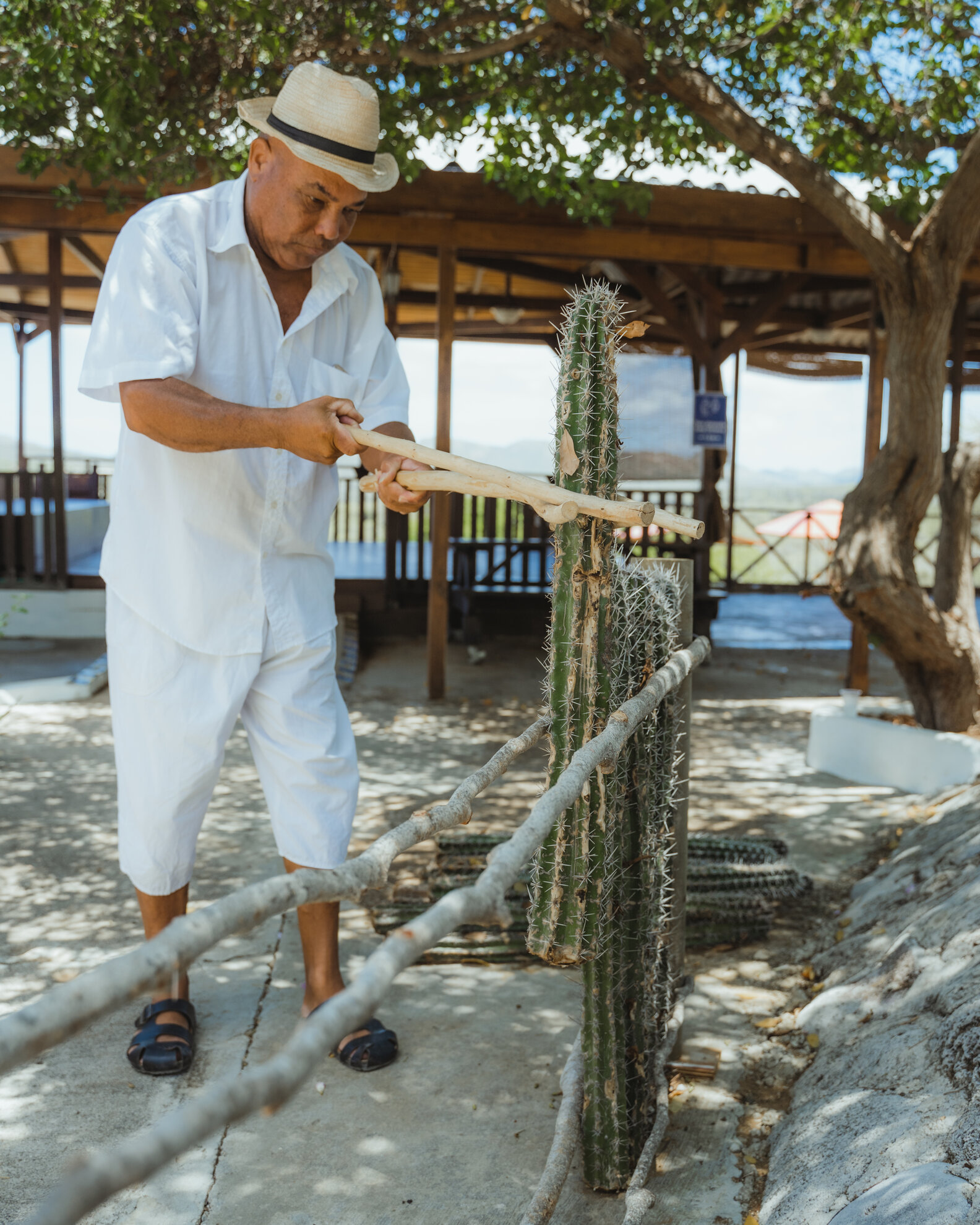 Bonaire's Mangazina di Rei Cultural Center Is a Must Stop When You ...