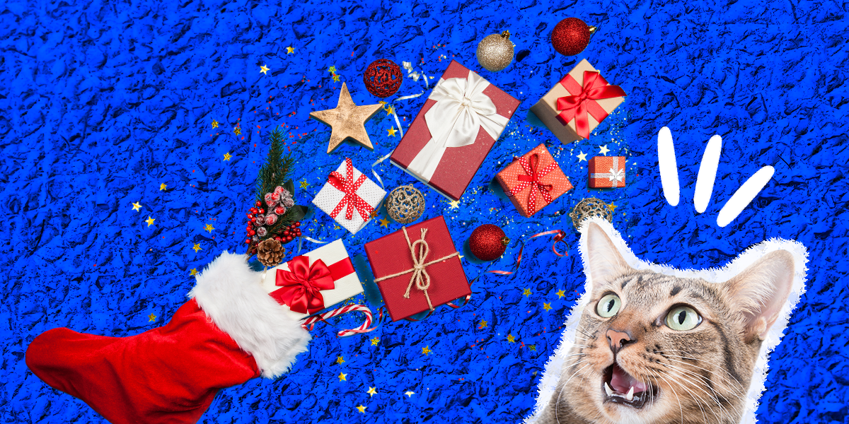 8 Christmas Cat Toys To Put Under The Tree - DodoWell - The Dodo