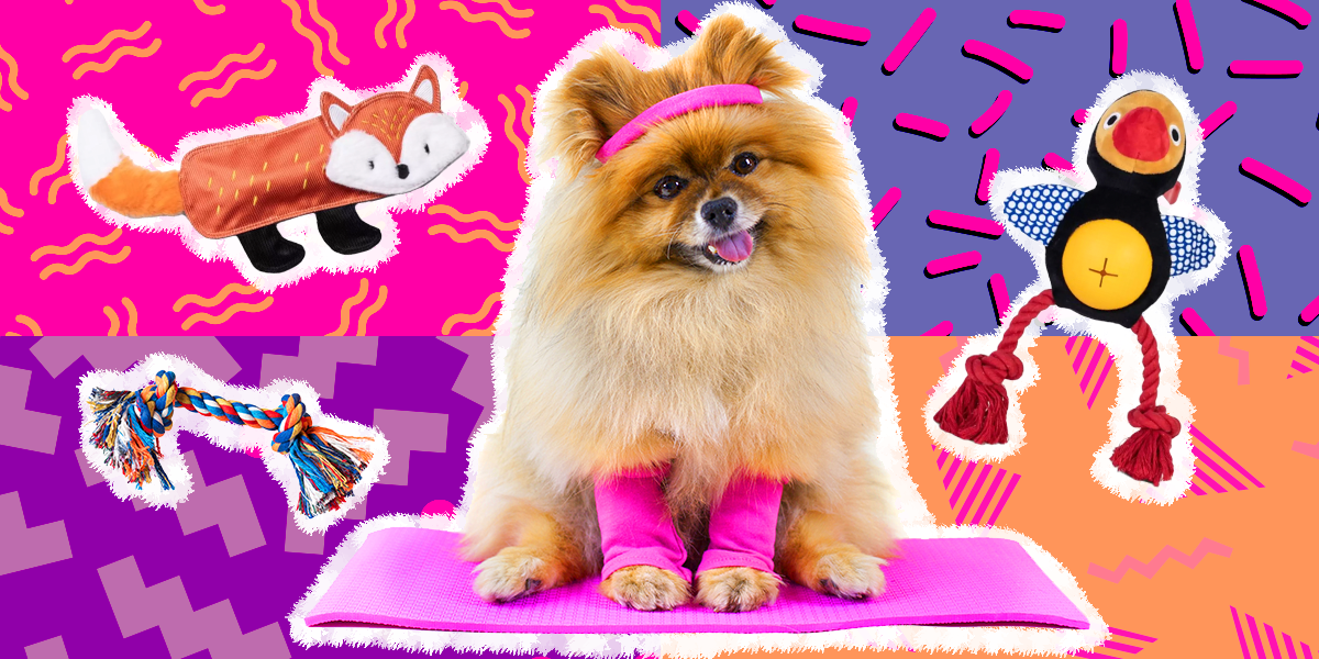 Give Your Pup A Mental Workout With These Dog Enrichment Toys ...