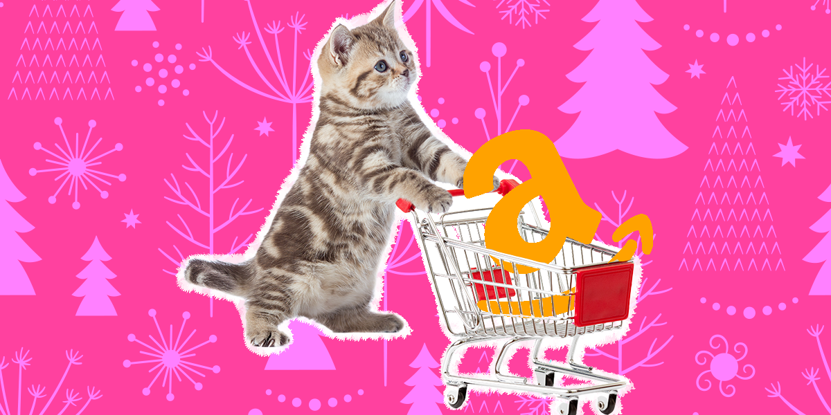 Amazon Black Friday Cyber Monday Pet Deals: 30 Ways To Spoil Your Dog ...