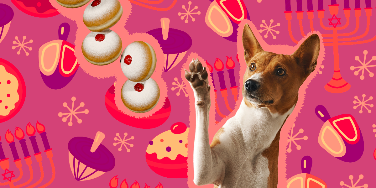 Hanukkah Dog Treats: Delicious Dog-Friendly Cookies And Cakes For The ...