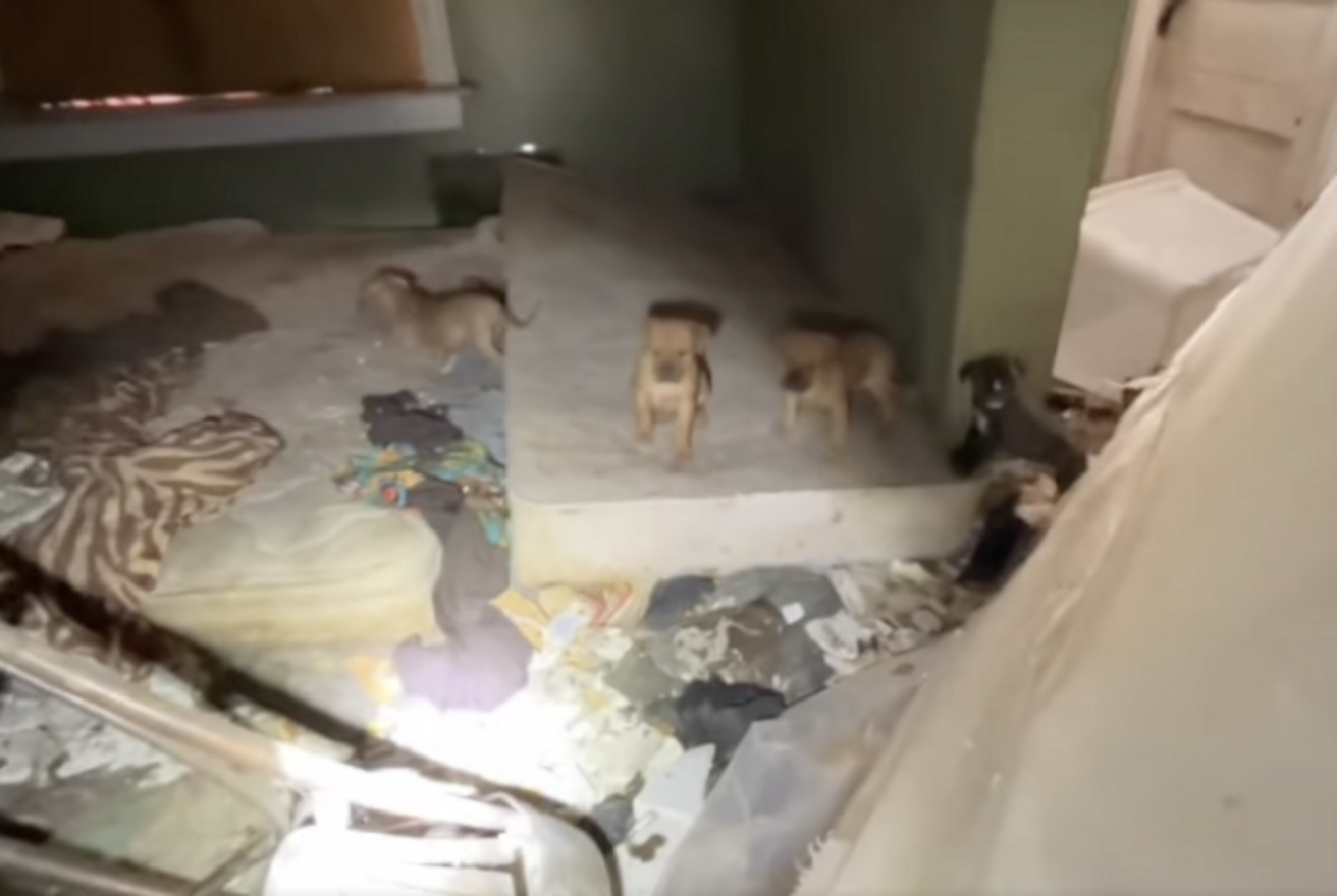 Little Family Spends Days Inside An Abandoned House Waiting For Someone ...