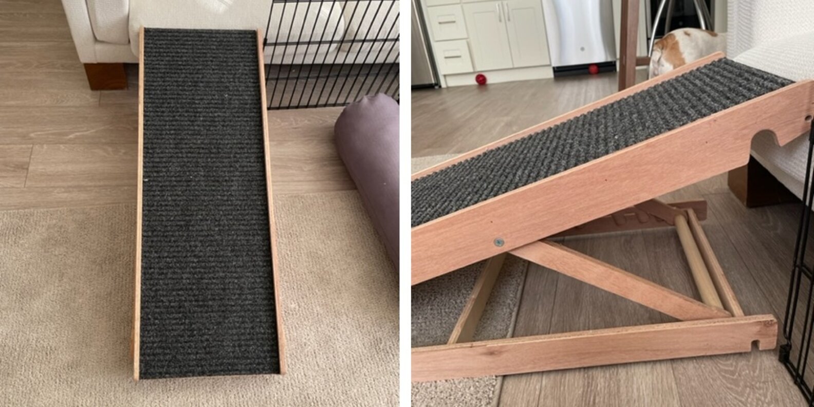 DoggoRamps Review: Why This Dog Ramp Made My Pup’s Back Surgery ...