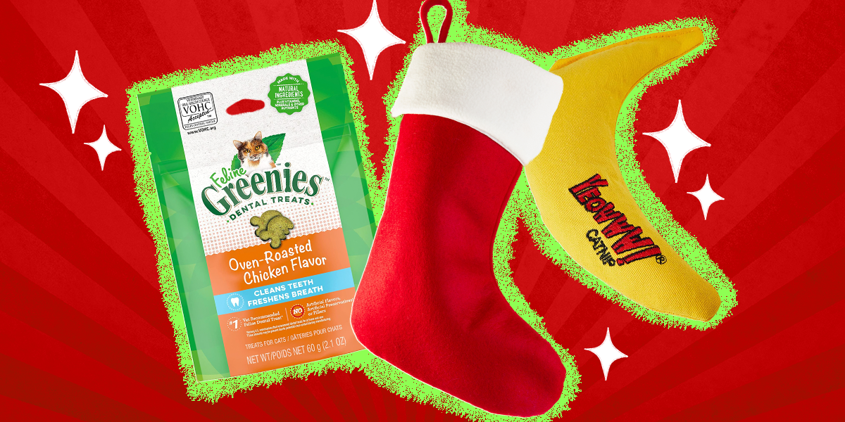Stocking Stuffers For Cats: The 12 Best Ideas To Give Your Kitty This ...