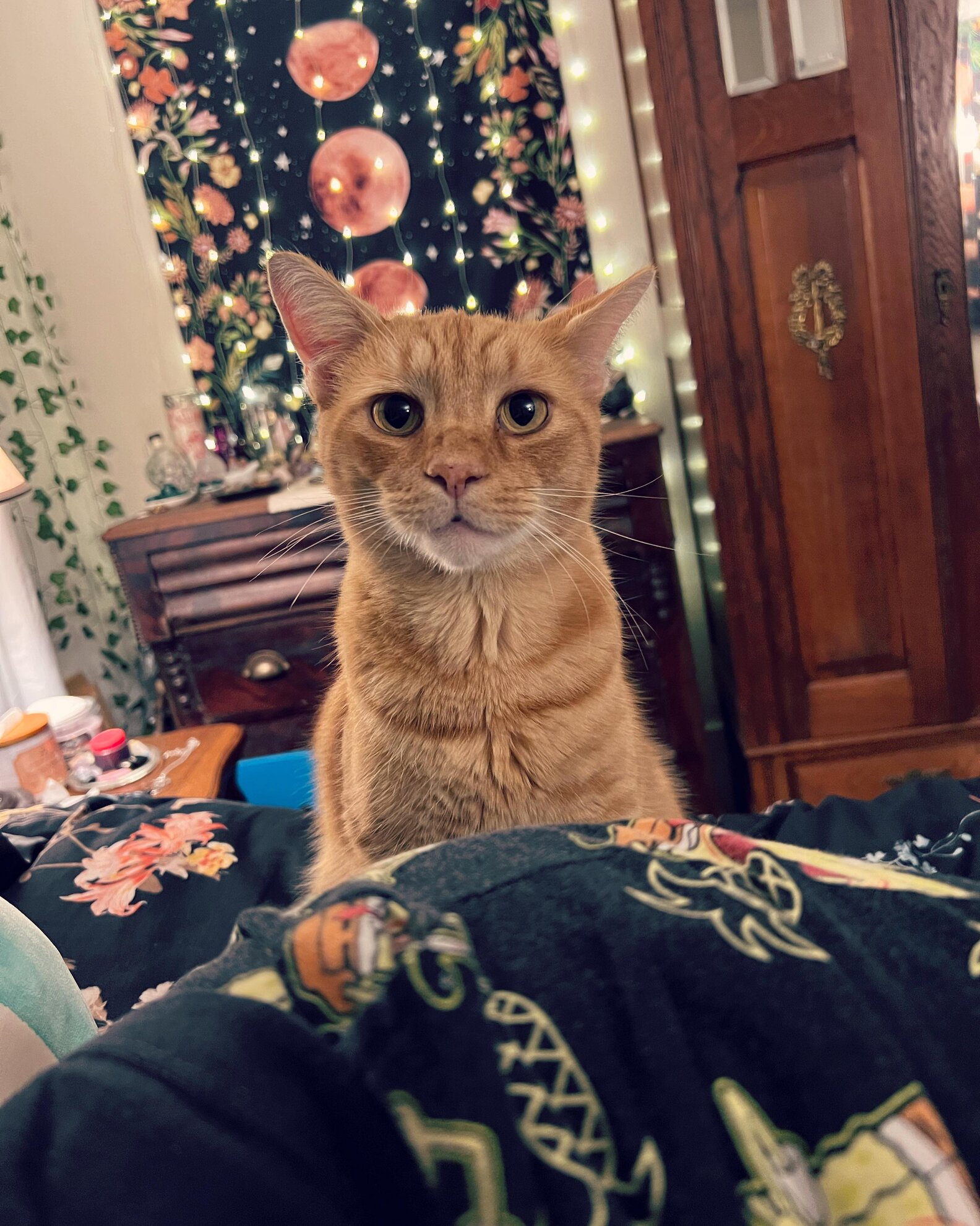 Woman Hears ‘Weird Shuffling’ Inside New Home And Is Shocked By Who She ...