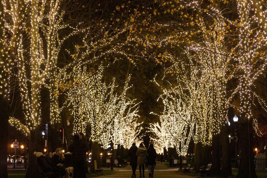 Holiday Light Displays and Shows in Boston To Check Out for Christmas ...