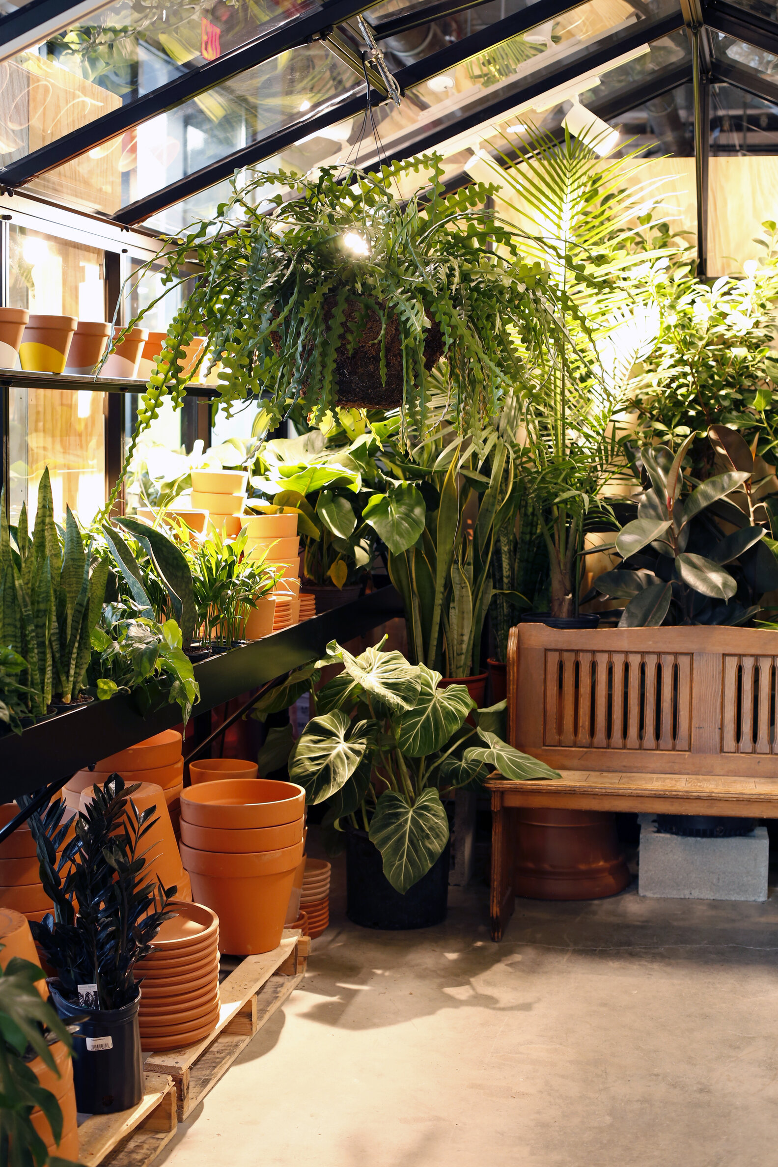 Take a Look Inside the Newest and Largest Plant Store in Williamsburg ...