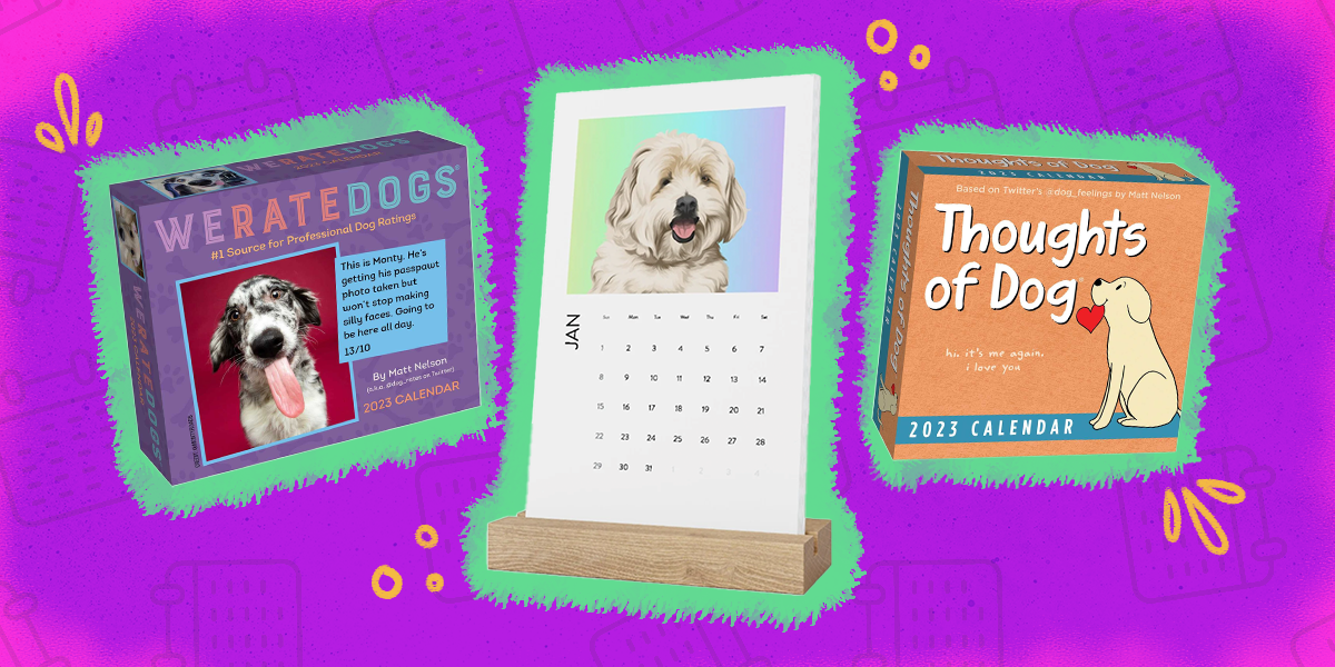 Dog Calendar: 9 Cute Options To Keep You Organized In 2023 - DodoWell ...