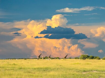 Most Expensive Travel Destinations in the World - Thrillist