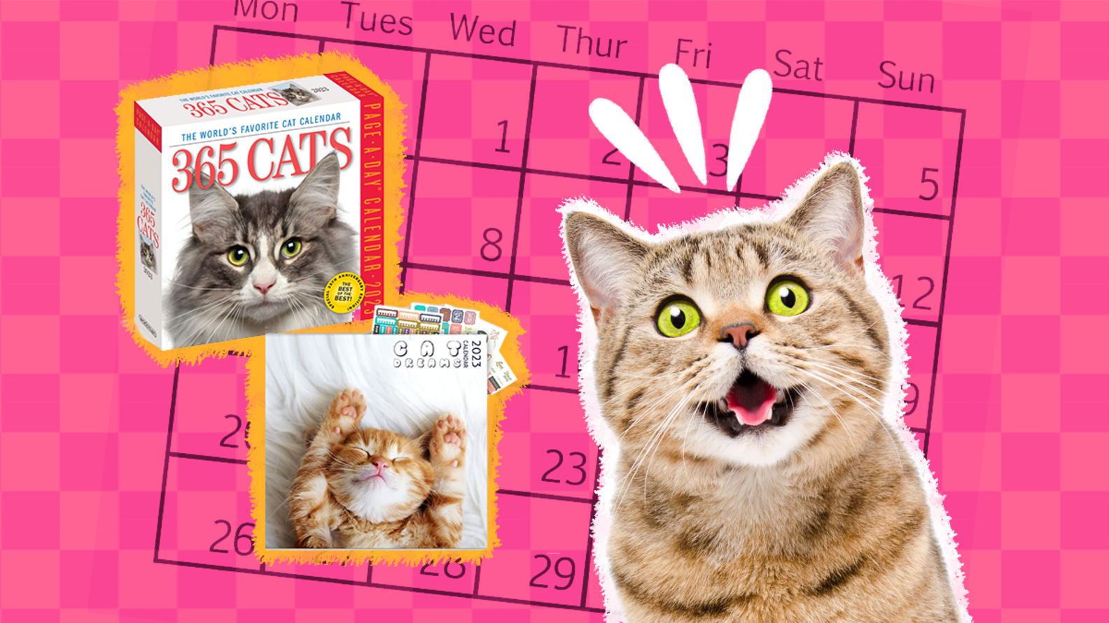 11 Cat Calendars That Will Get You Excited To Plan Your 2023 - DodoWell ...