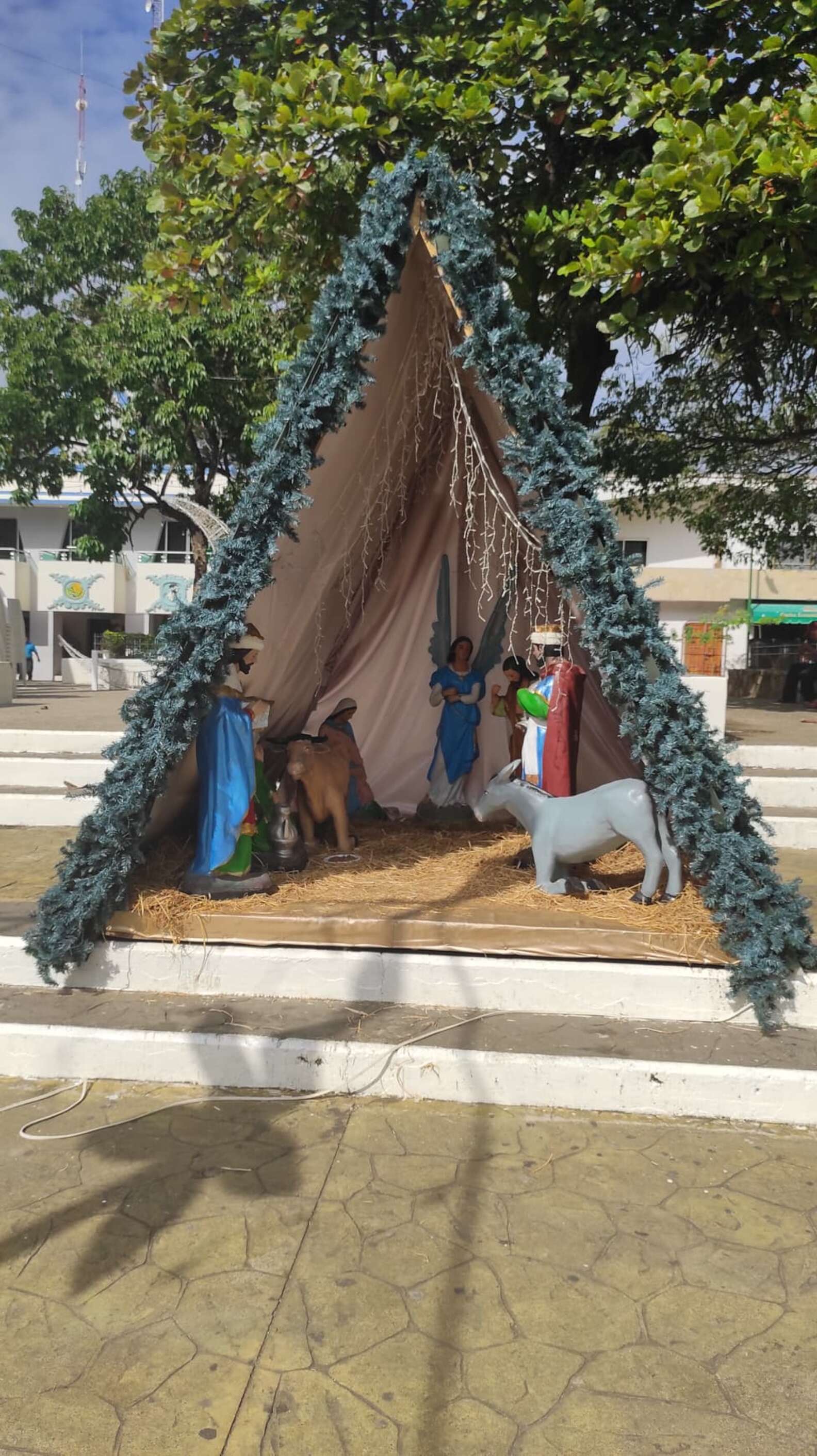People Spot Dog In Nativity Scene Manger — Then Realize She's Not Alone ...