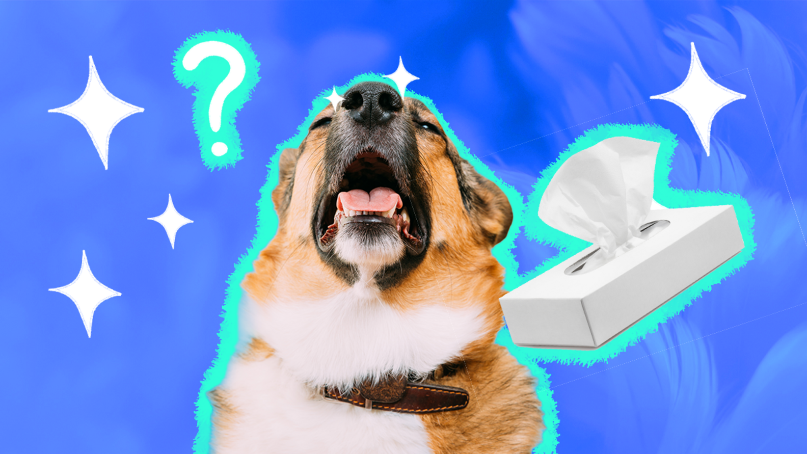 Dog Sneezing A Lot: What’s Causing It And When To See The Vet ...