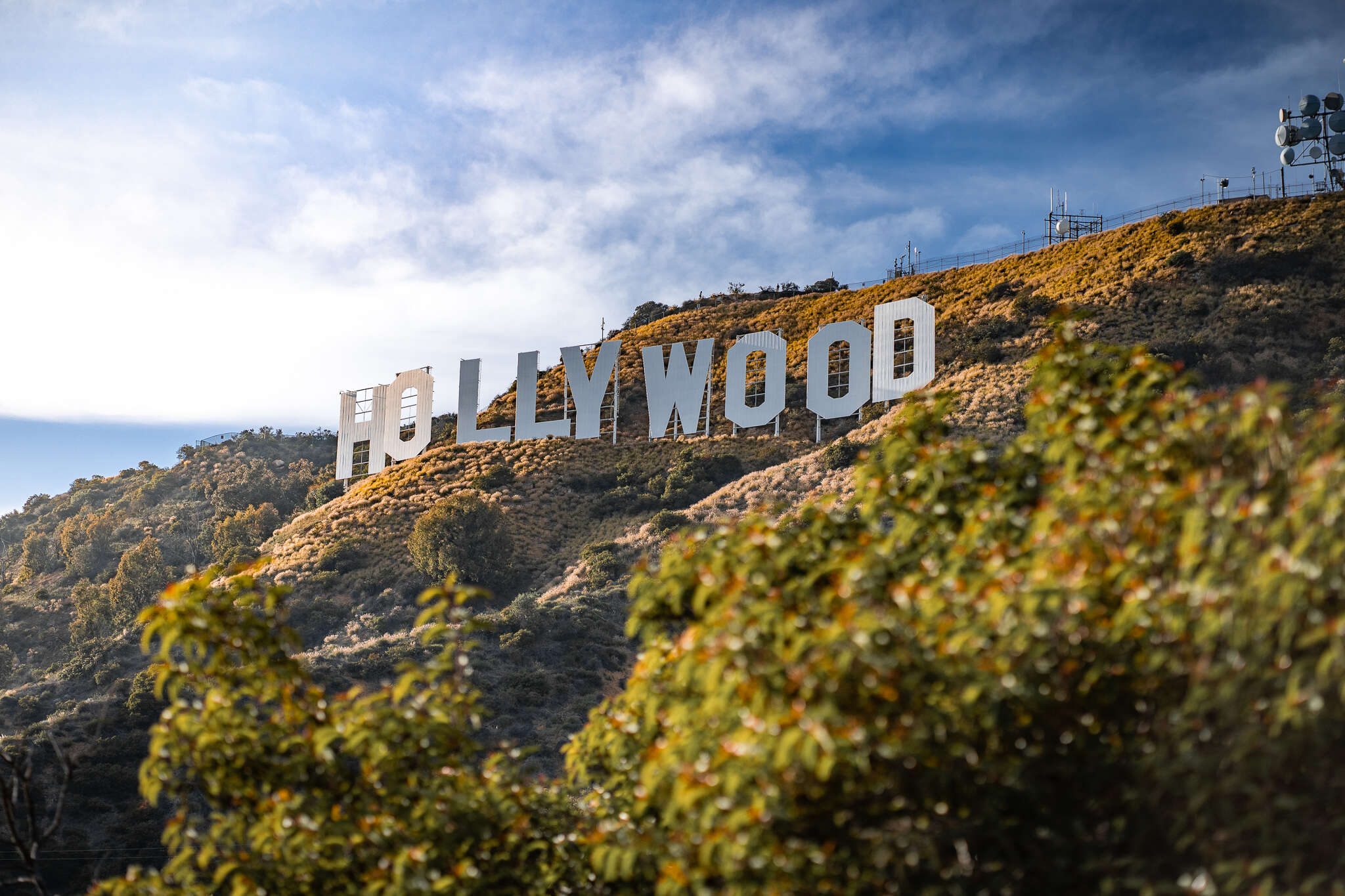 View From Hollywood Sign