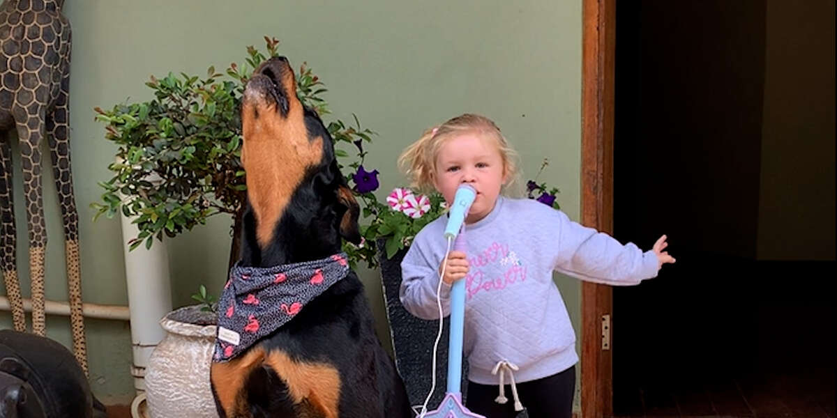 Rottweiler Loves To Sing With Her Baby Sister - Videos - The Dodo