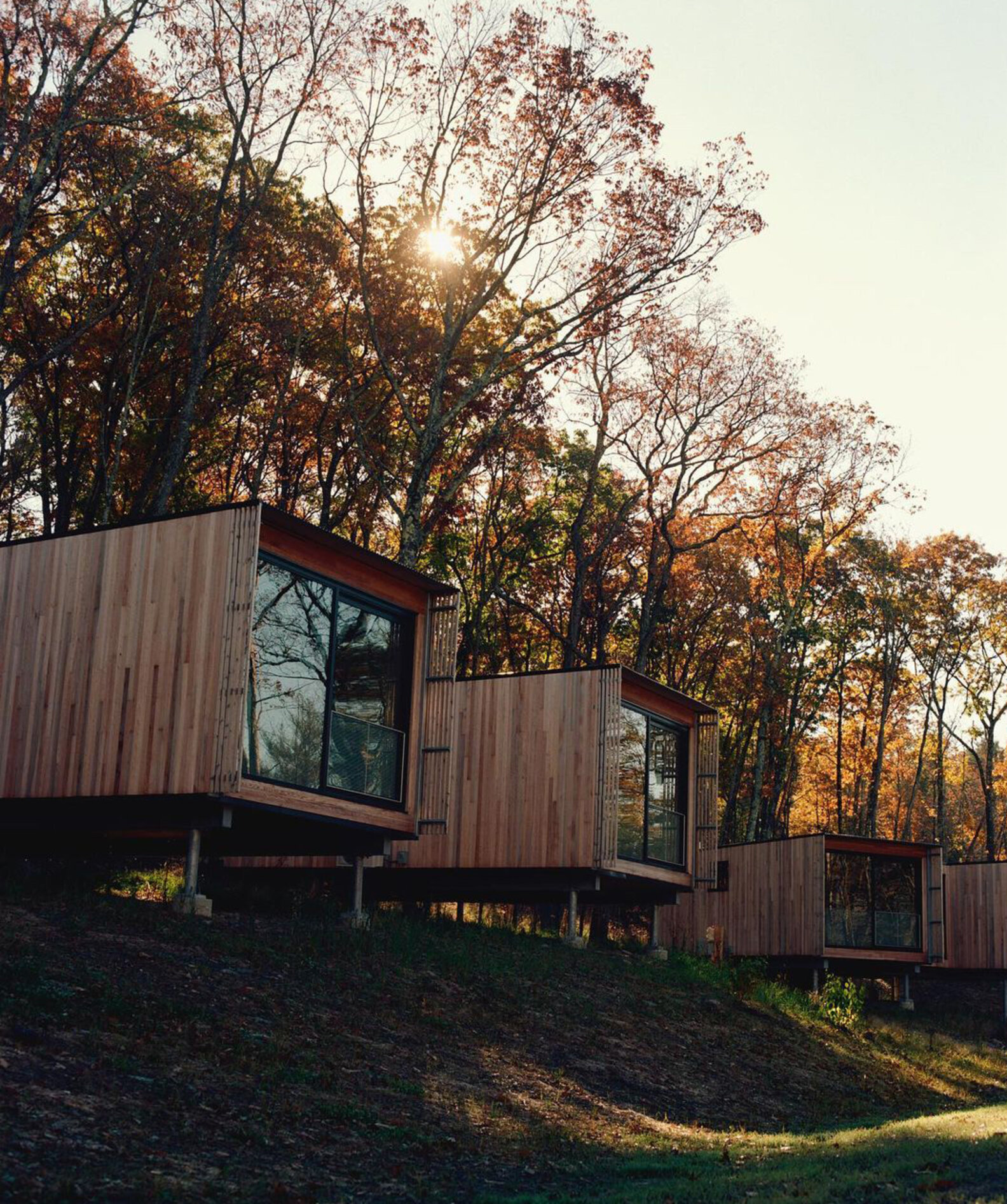 Best Cabin Rentals in the US: Airbnbs, Rustic Hotels, and Lodges ...