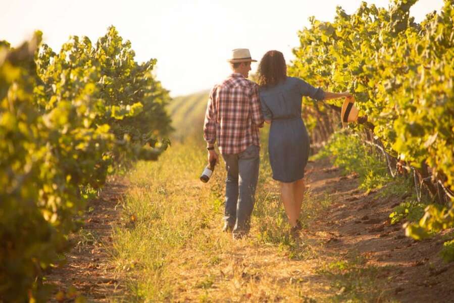 Things to Do in Santa Maria Valley, California - Thrillist