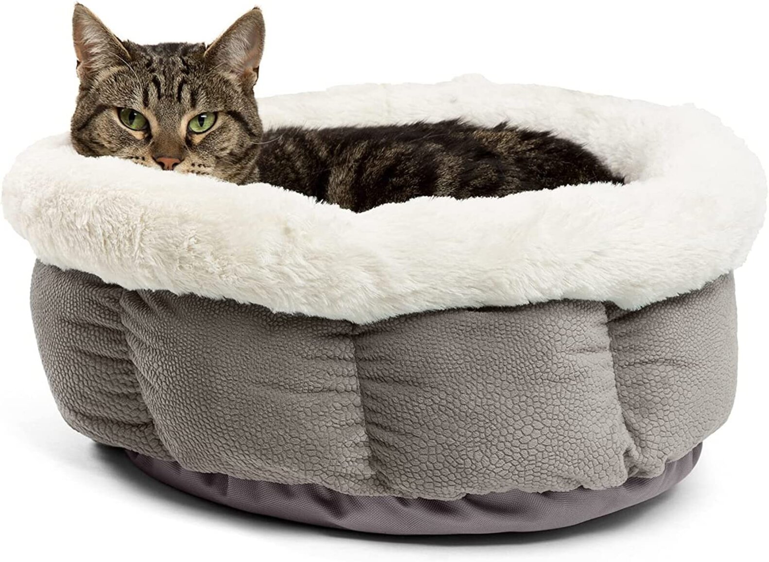 13 Cozy Cat Bed Options To Keep Your Cat Warm This Winter - DodoWell ...