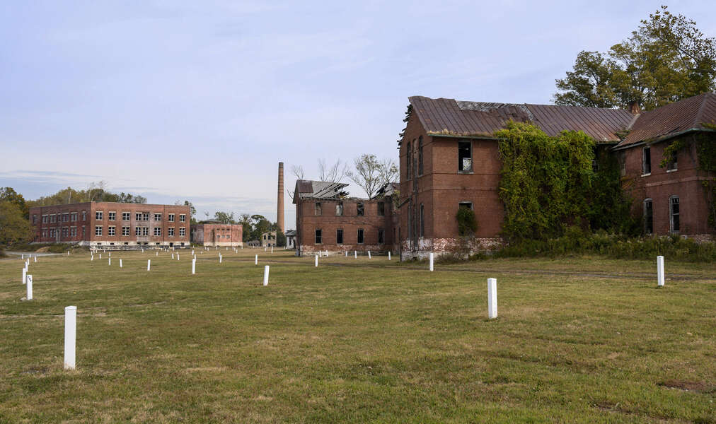Watch This Video Exploring NYC's Hart Island Burial Ground - Thrillist