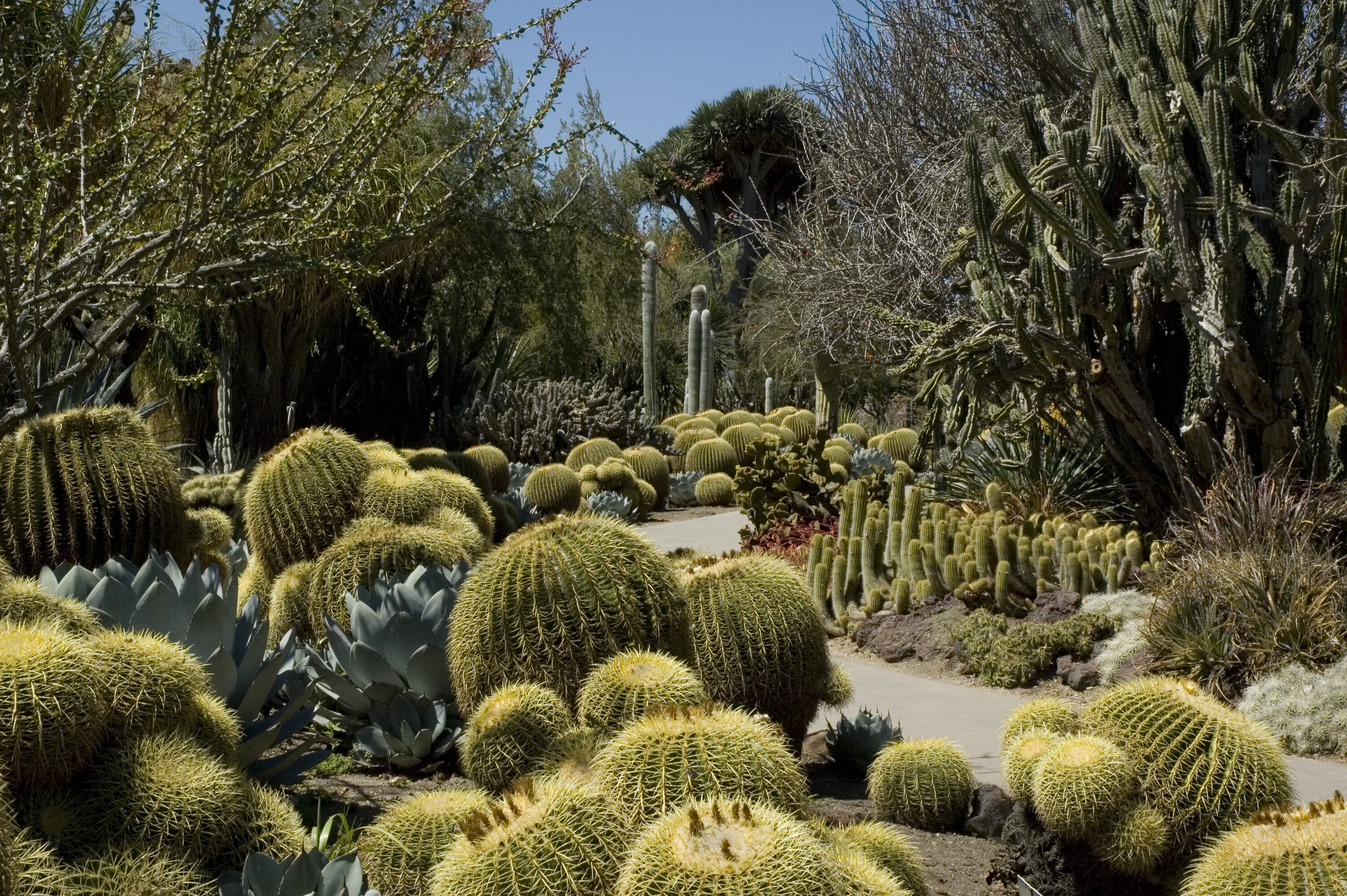 Best Museums in LA: Art, History, Culture, and Enlightened Esoterica ...