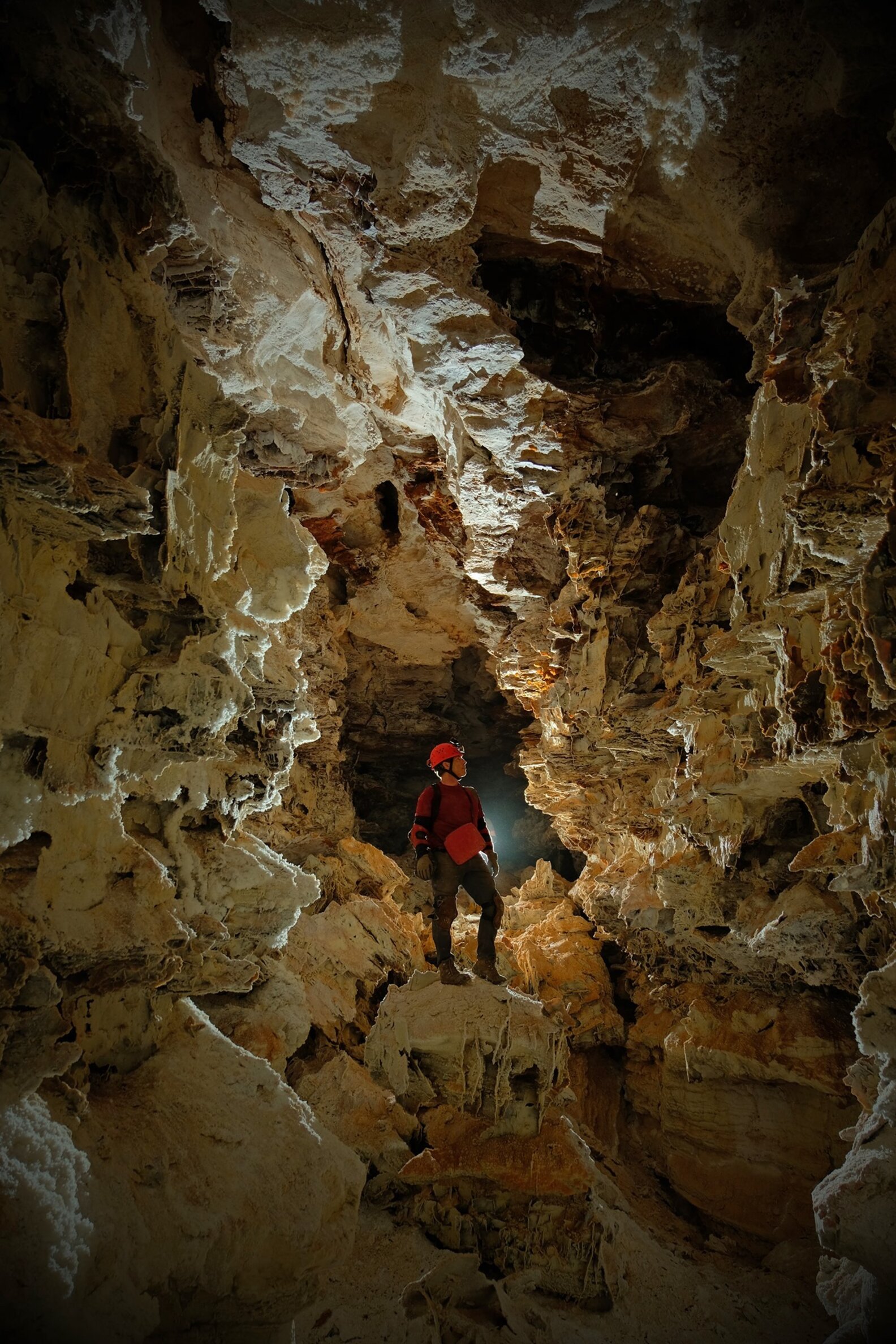 Wind Cave National Park Guide: Visit This Underrated Park in South ...
