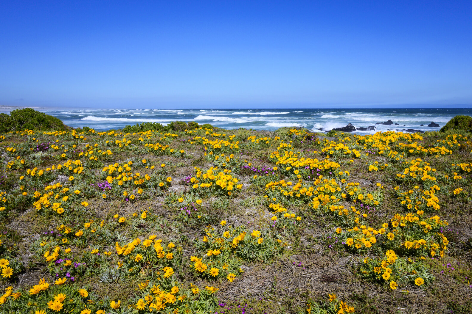 Things to Do in Paternoster, South Africa When You Visit - Thrillist