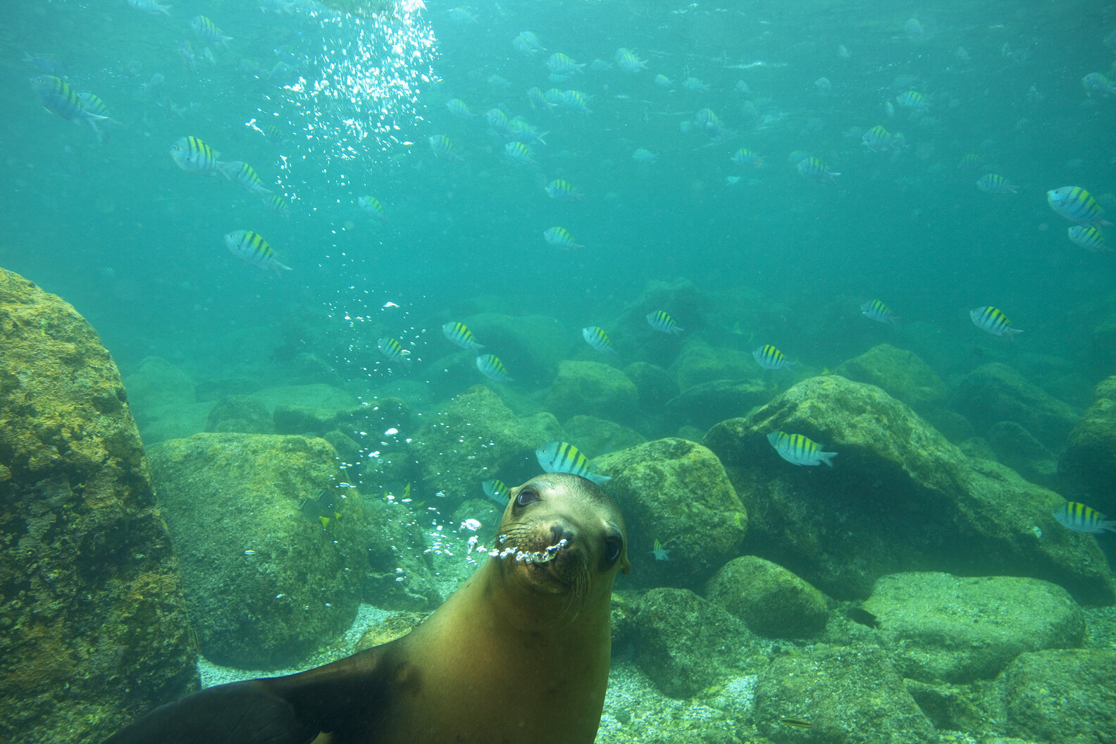 Guide to Loreto Bay National Marine Park in Mexico - Thrillist