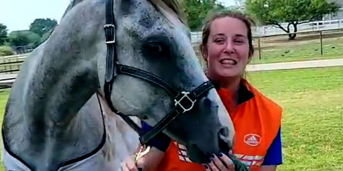 Woman Moves Away To Follow Her Dream To Rescue Animals - Videos - The Dodo