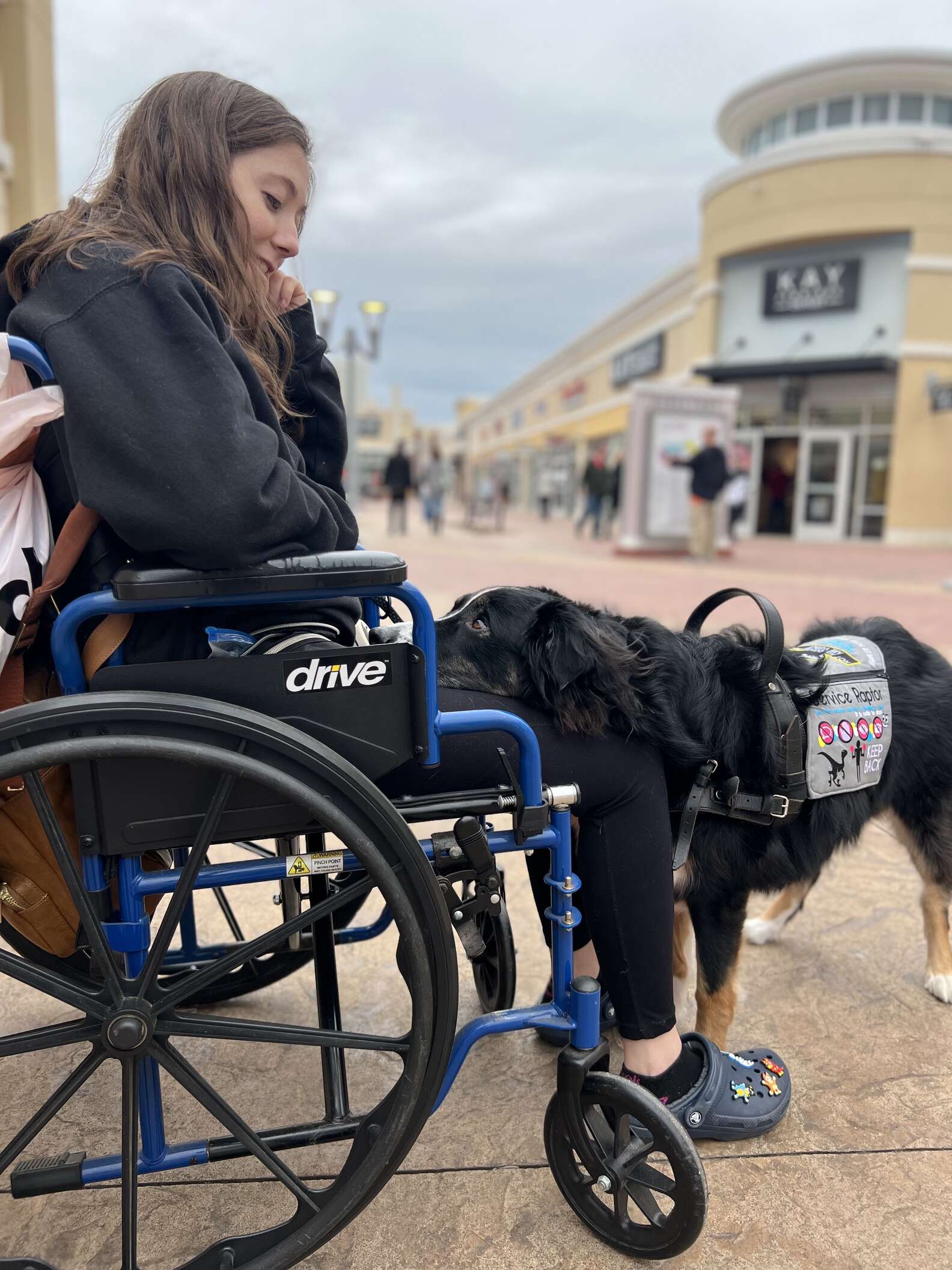 Camera Captures Incredible Moment Service Dog Goes Above And Beyond ...