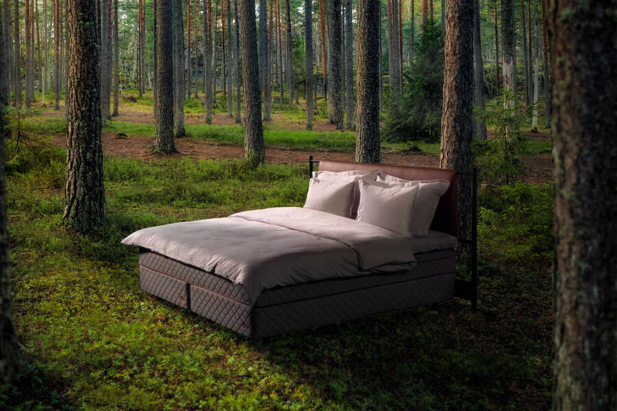 This Swedish Museum Is Offering Overnight Stays in an Indoor Forest ...