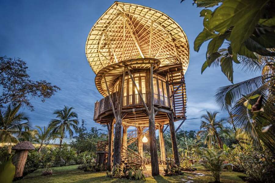 Private Island Hotel in Panama Is Offering New Treehouse Suites - Thrillist