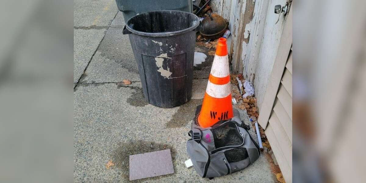 Duffel Bag Abandoned Near Garbage Seems Like Trash Until Someone Takes ...