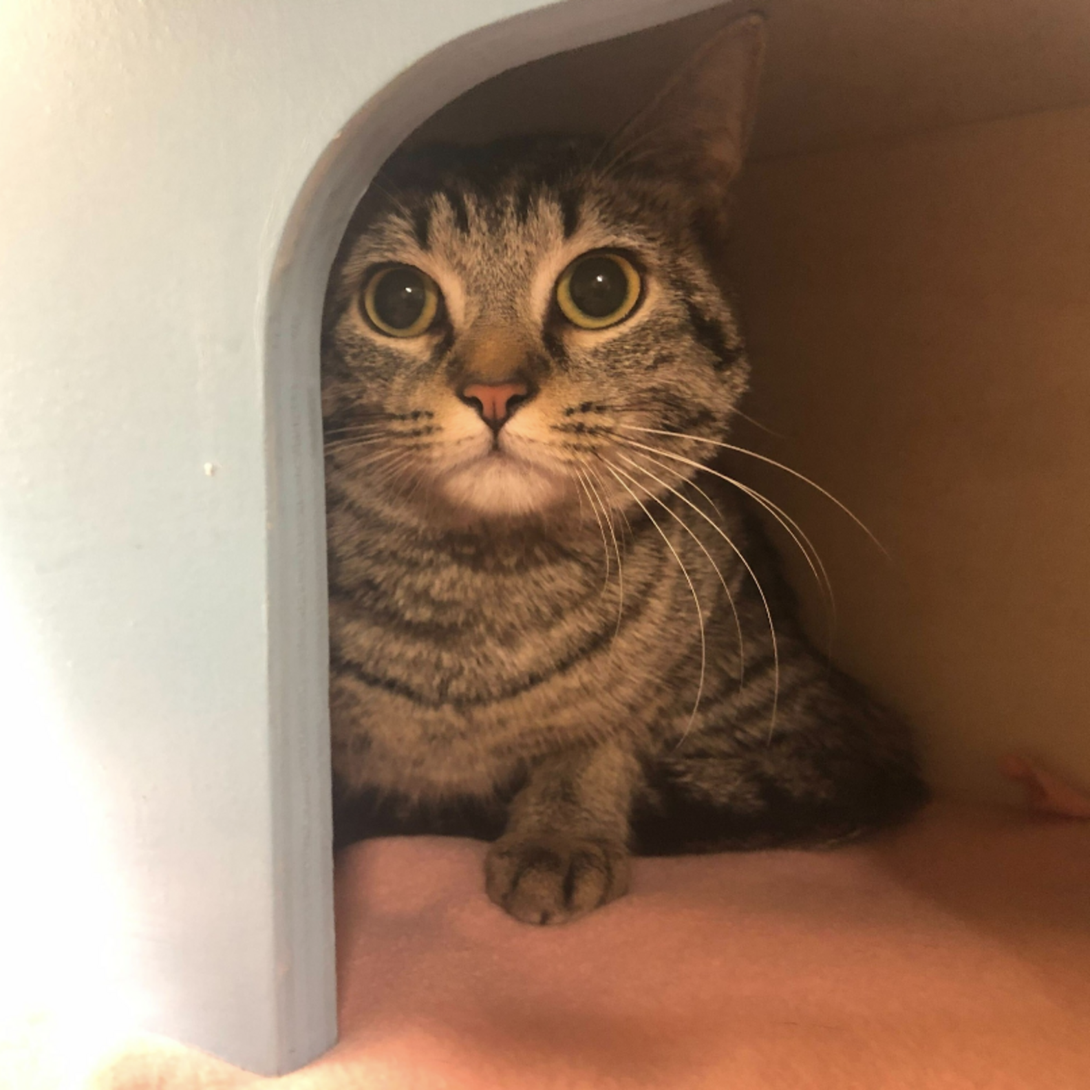 Duffel Bag Abandoned Near Garbage Seems Like Trash Until Someone Takes ...