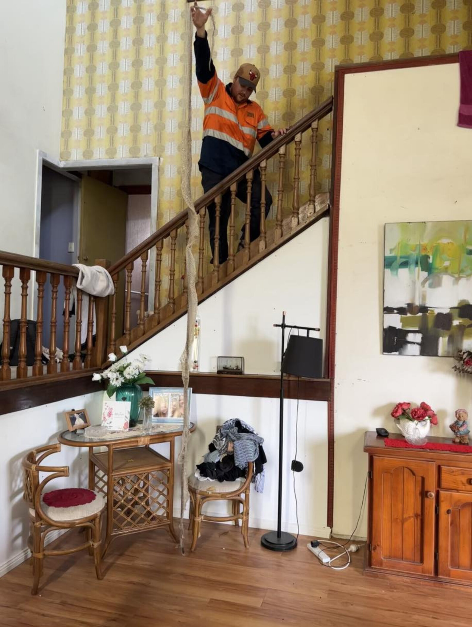 Discovery Of Massive Snake Skin In Attic Leads To A Jaw-Dropping Find ...