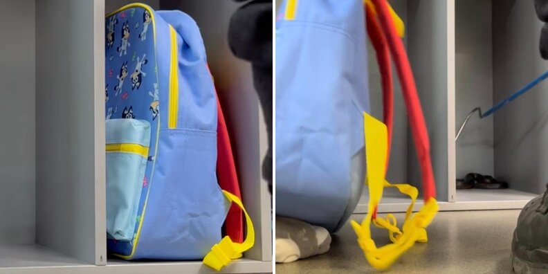 Teacher Discovers Someone Deadly Lurking Behind Child's Backpack - The Dodo