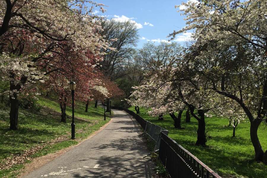 Riverside Park - Cherry Walk: New York, NY - Thrillist