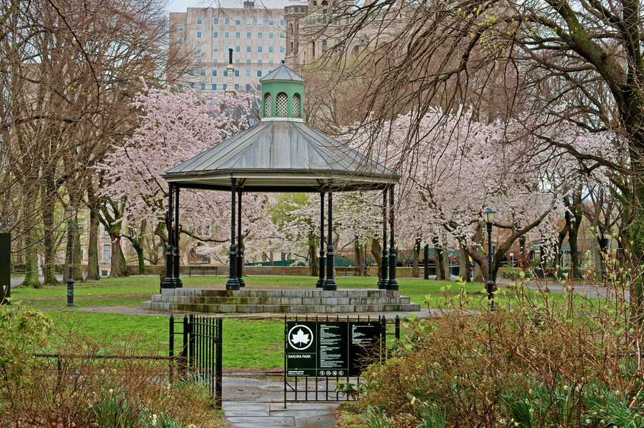 Sakura Park: New York, NY - Thrillist