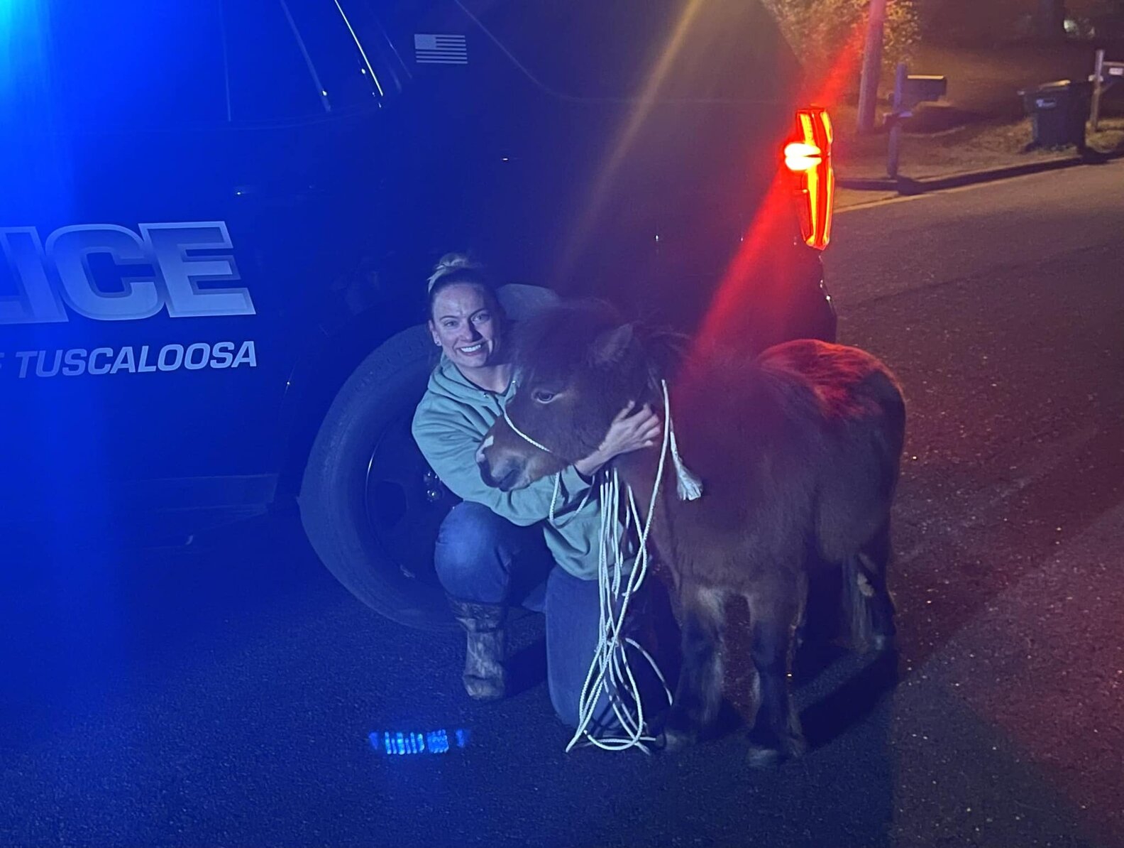 Little Pony Poses For Selfies After Leading Cops On 'Low-Speed Pursuit ...