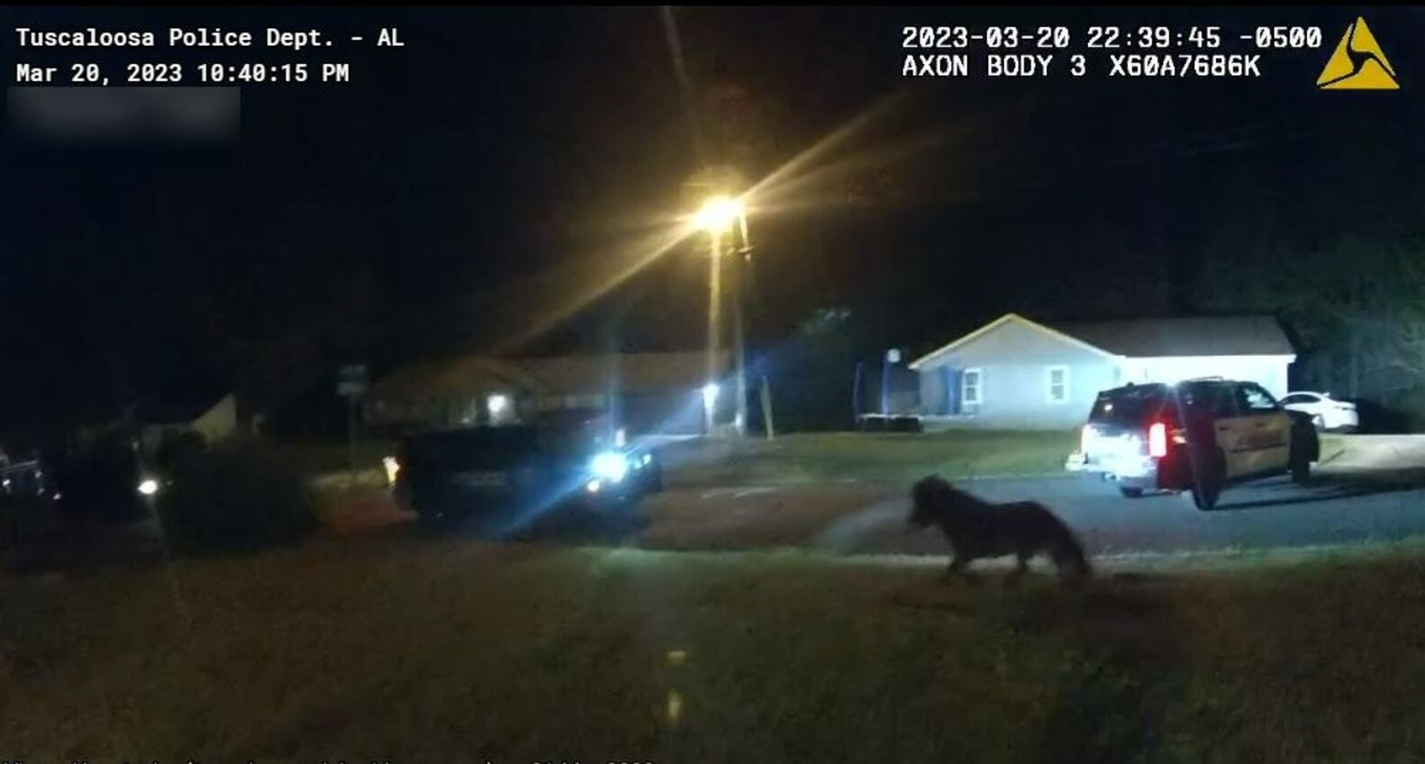 Little Pony Poses For Selfies After Leading Cops On 'Low-Speed Pursuit ...