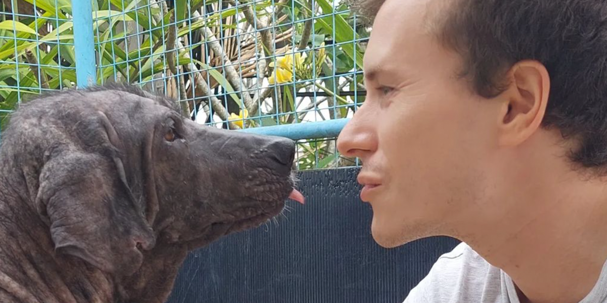 This Dog Is Unrecognizable Now - Videos - The Dodo