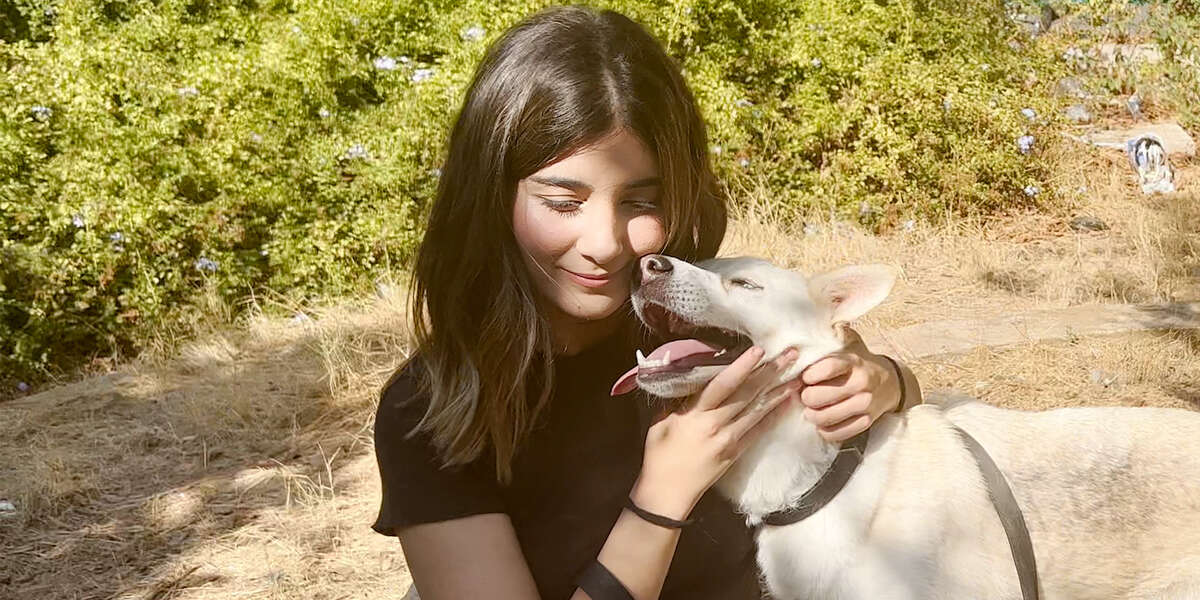 Scared Dog Who Approached Rescuers Is The Most Trusting Girl Now ...