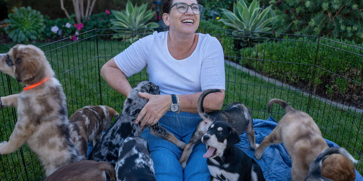 Momma Dog Has A Reunion With Her 13 Puppies On Their First Birthday ...