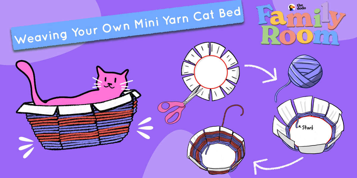 Learn To Weave By Making Your Own Mini Yarn Cat Bed - The Dodo