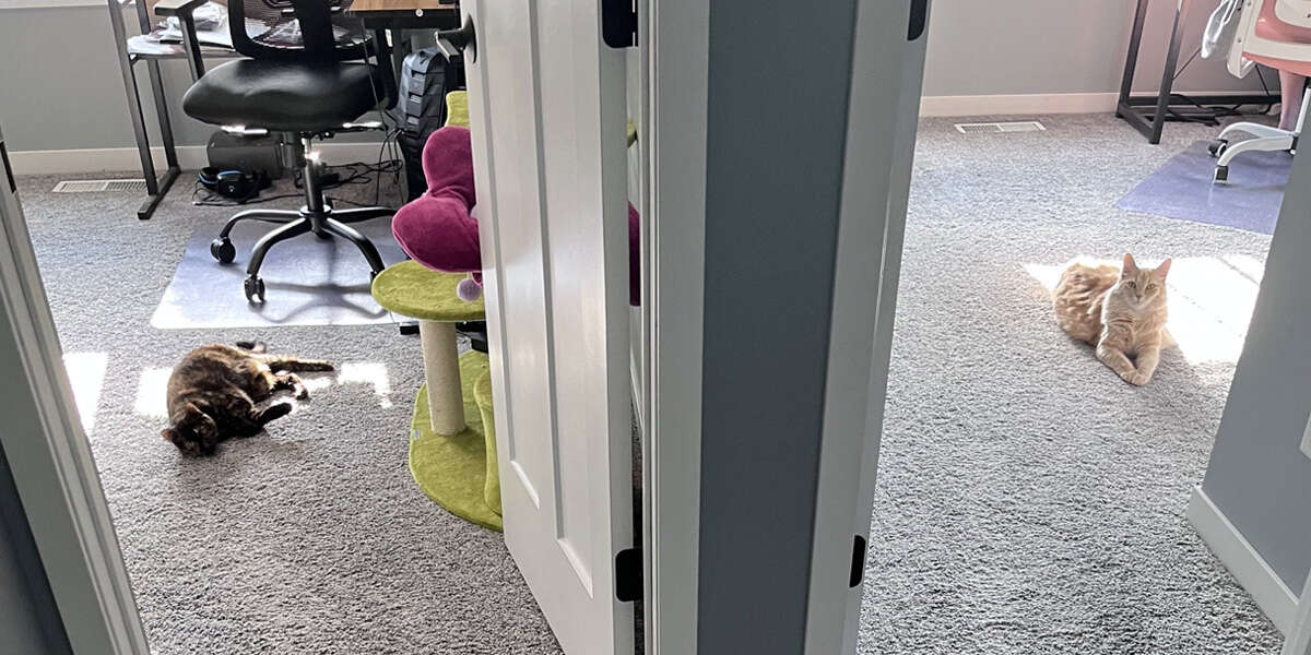 Doctor Presents The Internet With An 'Ethical Dilemma' Involving His ...