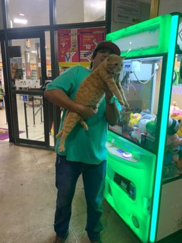 Guy Playing On Claw Machine Wins A 'Prize' He Hadn't Bargained For ...
