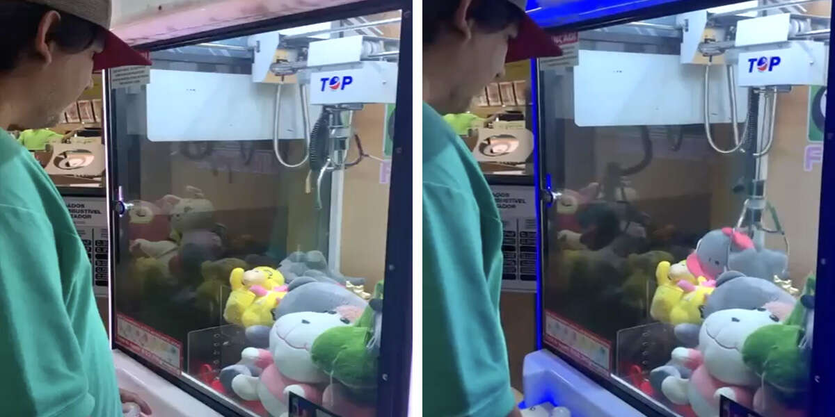 Guy Playing On Claw Machine Wins A 'Prize' He Hadn't Bargained For ...