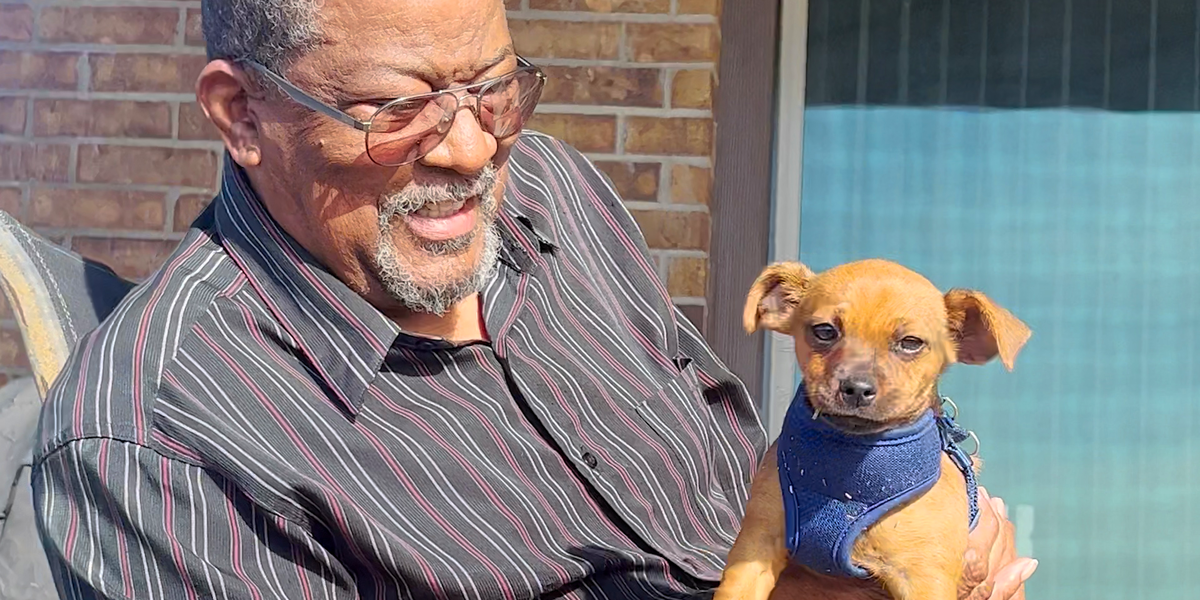 Grandpa Is Smitten With His New Puppy - Videos - The Dodo