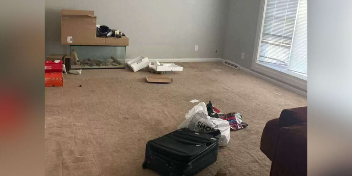 Junk Removal Man Arrives At Job To Find Someone Scaly Has Been Left ...