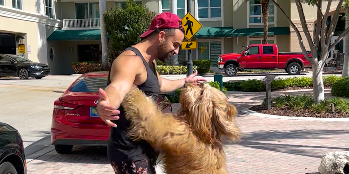 Guy Decides His Dog Will Be His Plus-One Everywhere He Goes - Videos ...
